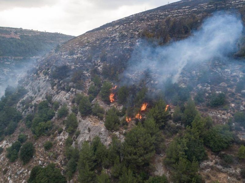 Un incendie ravage pour le 2e jour consécutif la localité de Rahbé dans ...