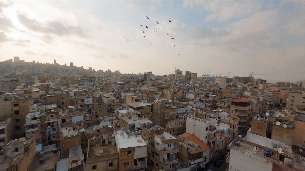 ‘Kash Kash’: Filmmaker Lea Najjar reflects upon pigeons and ghosts ...