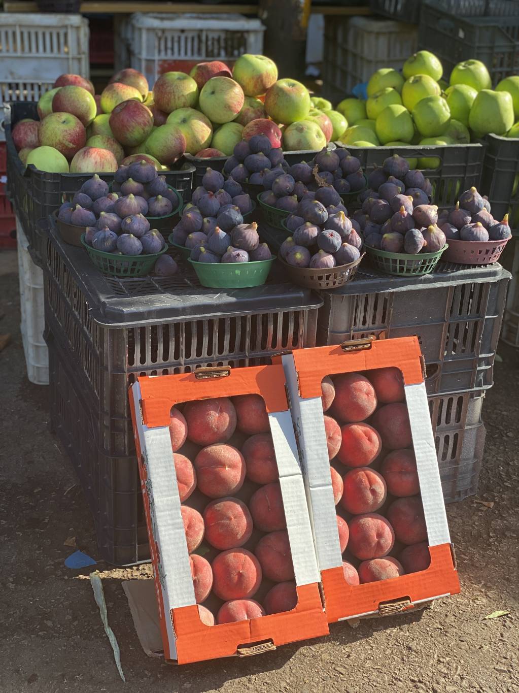 Les précieuses saisons du Liban - L'Orient-Le Jour