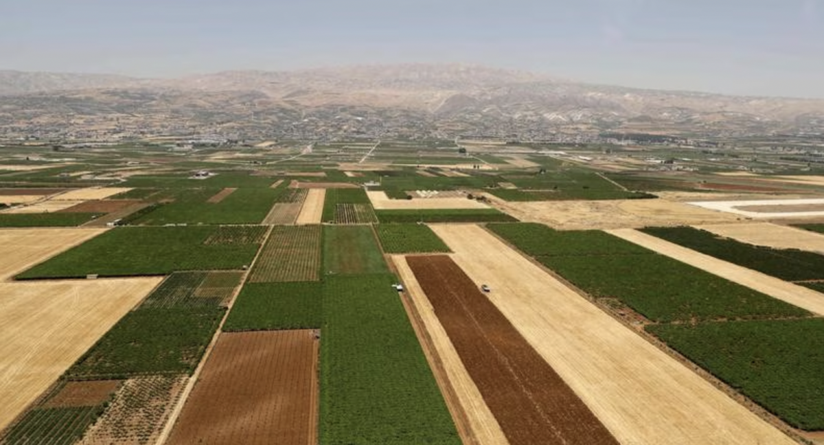Salameh attends hearing, Bekaa explosion kills 5, Ogero runs out of ...
