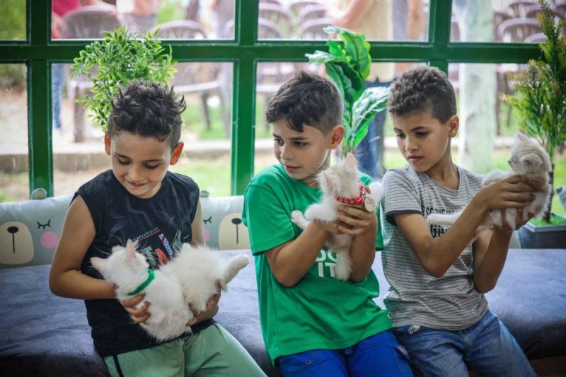 Cat cafe brings pawsitivity to war-scarred Gaza - L'Orient Today