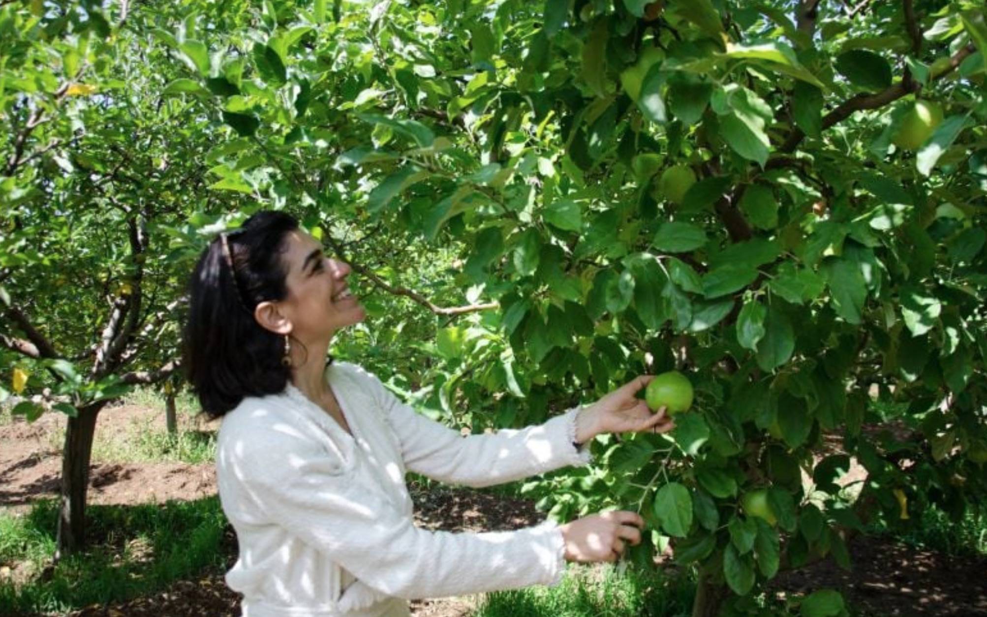 WATA, inside Lebanon’s first cider brand - L'Orient Today