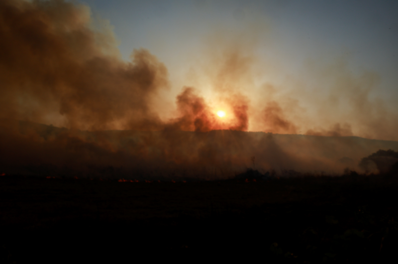Both sides of southern border ablaze and cease-fire proposal still up ...