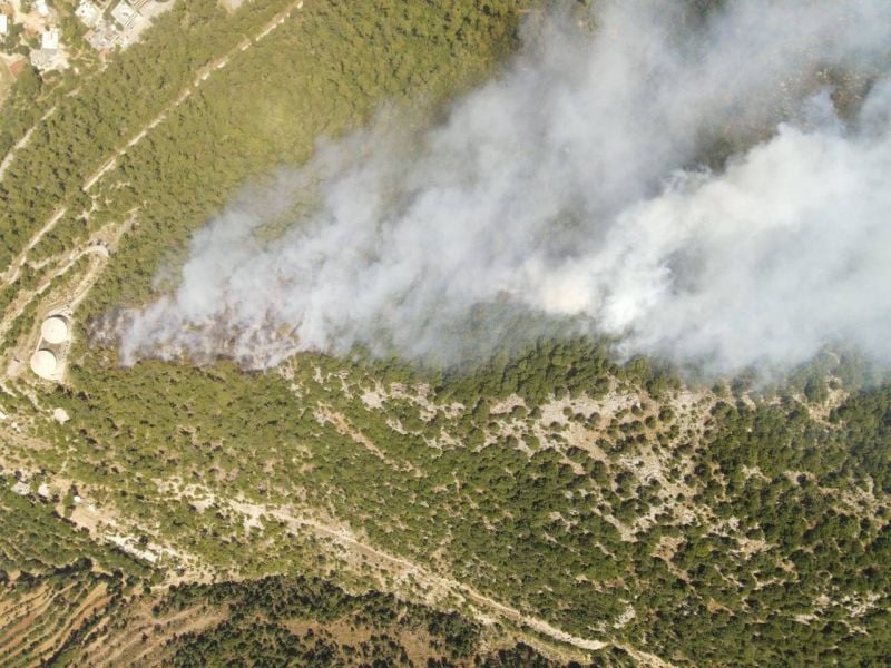 Fire in Akkar pine forests brought under control - L'Orient Today