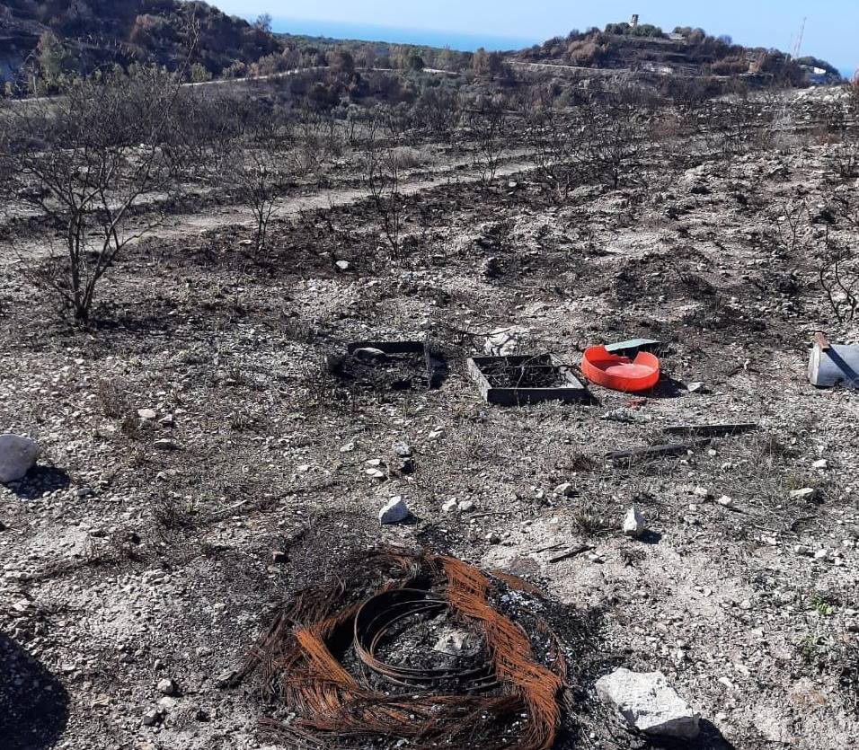 The destruction of beehives in south Lebanon adds to the region's ...