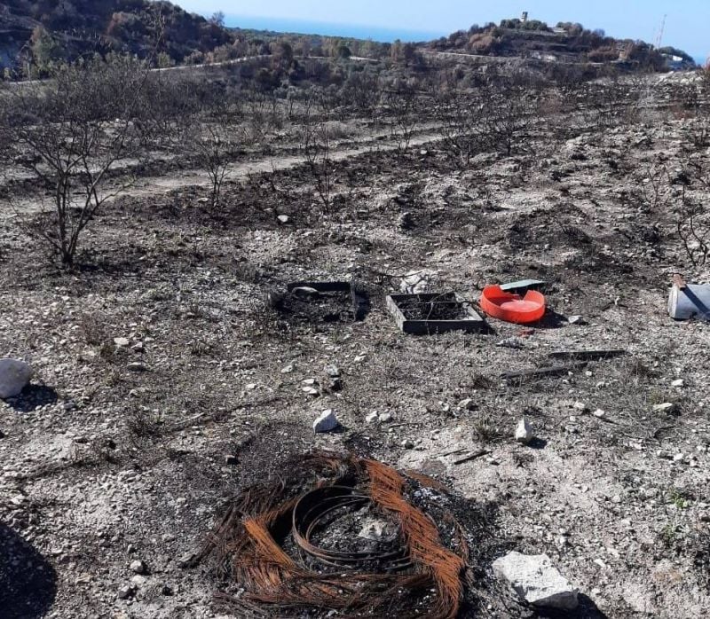 The destruction of beehives in south Lebanon adds to the region's ...