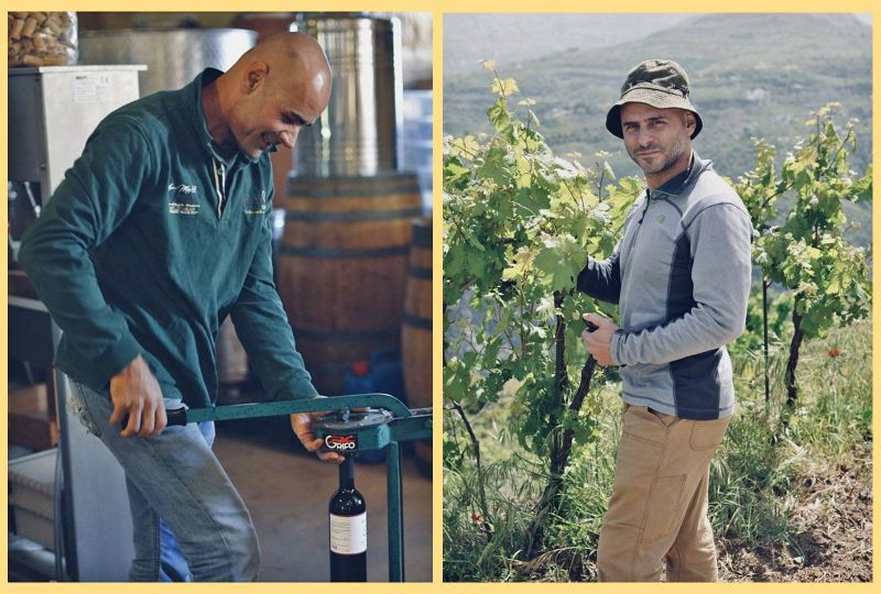 The Syrian and Lebanese winemaking brotherhood - L'Orient Today