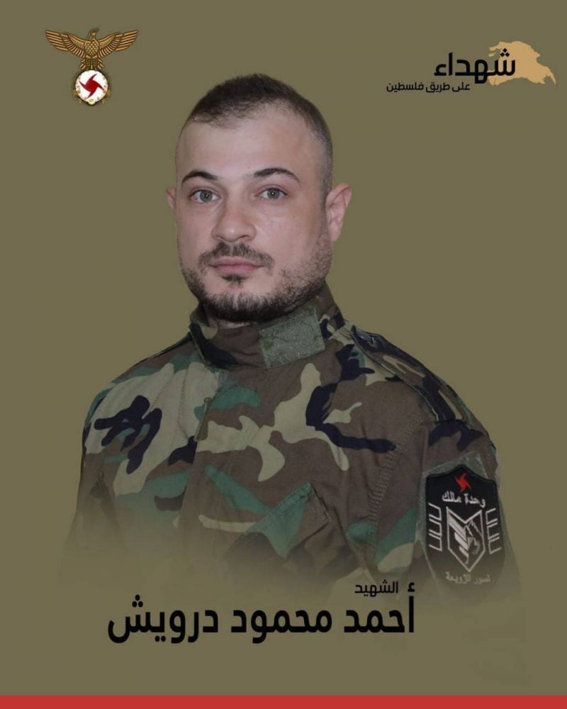 Three SSNP members killed in southern Lebanon while 'confronting ...