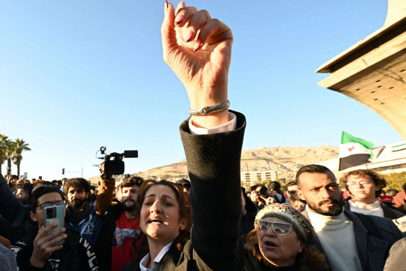 Comments from the Syrian transitional government's only female member ...