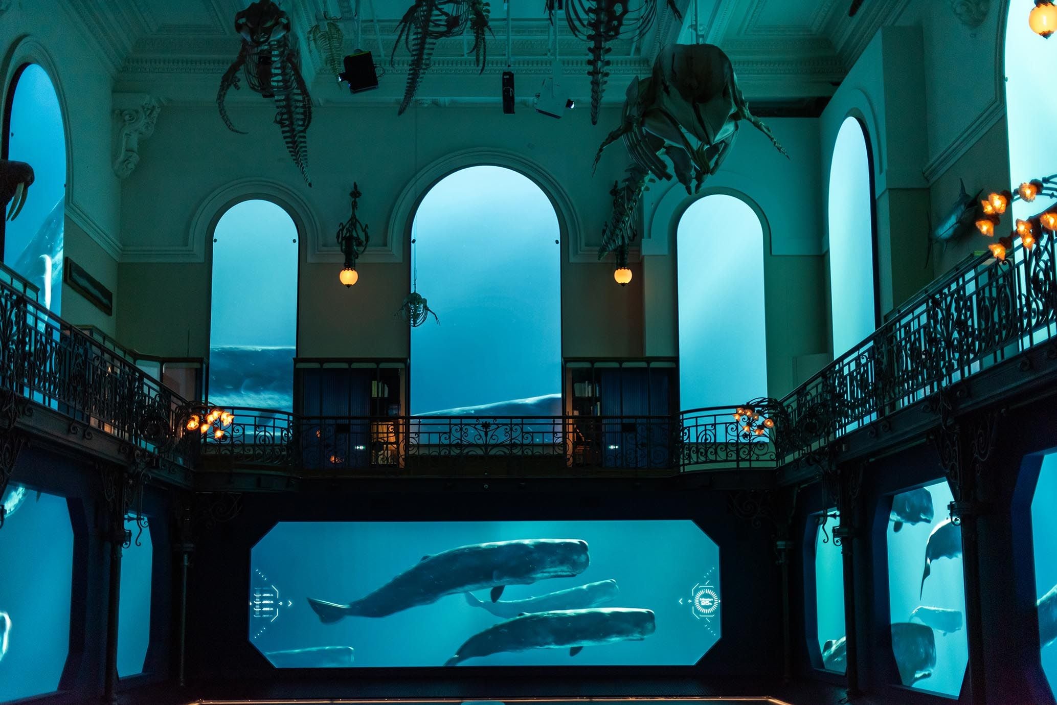 Avec « Méditerranée 2050 », le musée océanographique de Monaco met le ...