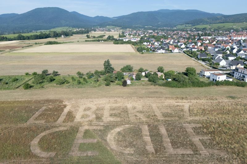 Pierre Cochard, new French ambassador to Iran - L'Orient Today