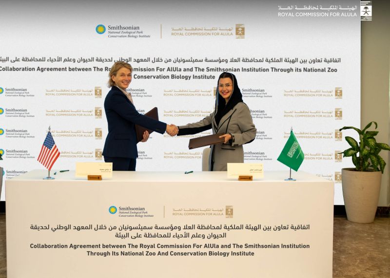 Des léopards d'Arabie à Washington : ce curieux deal signé par Trump à ...