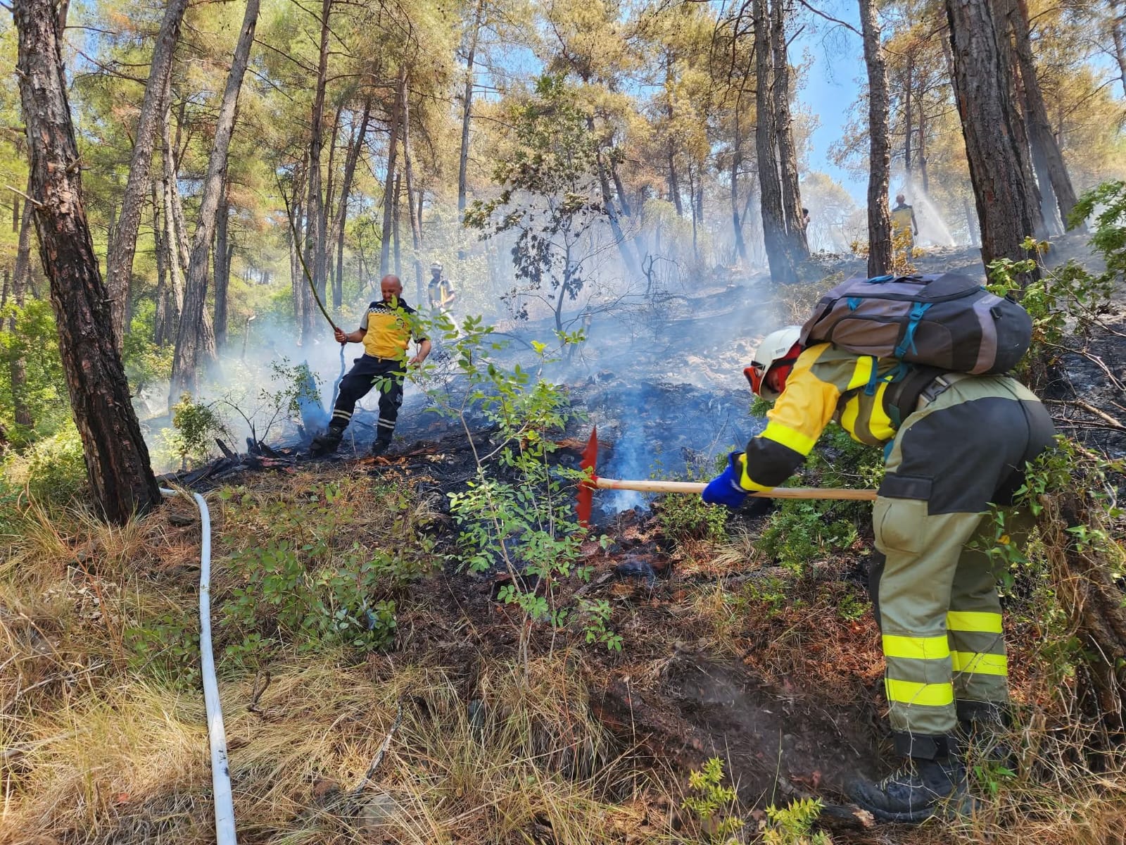 Incendies en Syrie : des volontaires de l'ONG Darb Akkar sont rentrés ...