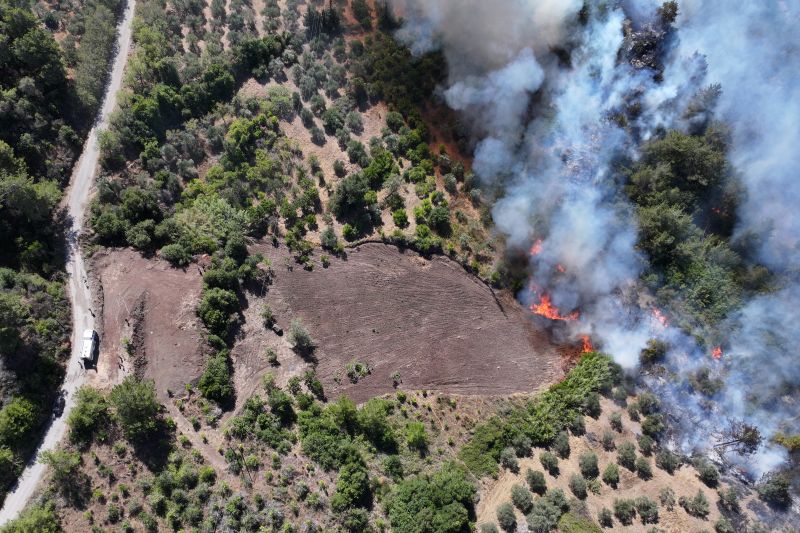 Wildfires contained after 10 days - L'Orient Today