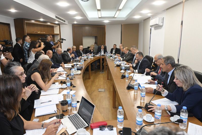 Bank restructuring: Finance and Budget Committee approves draft law - L ...