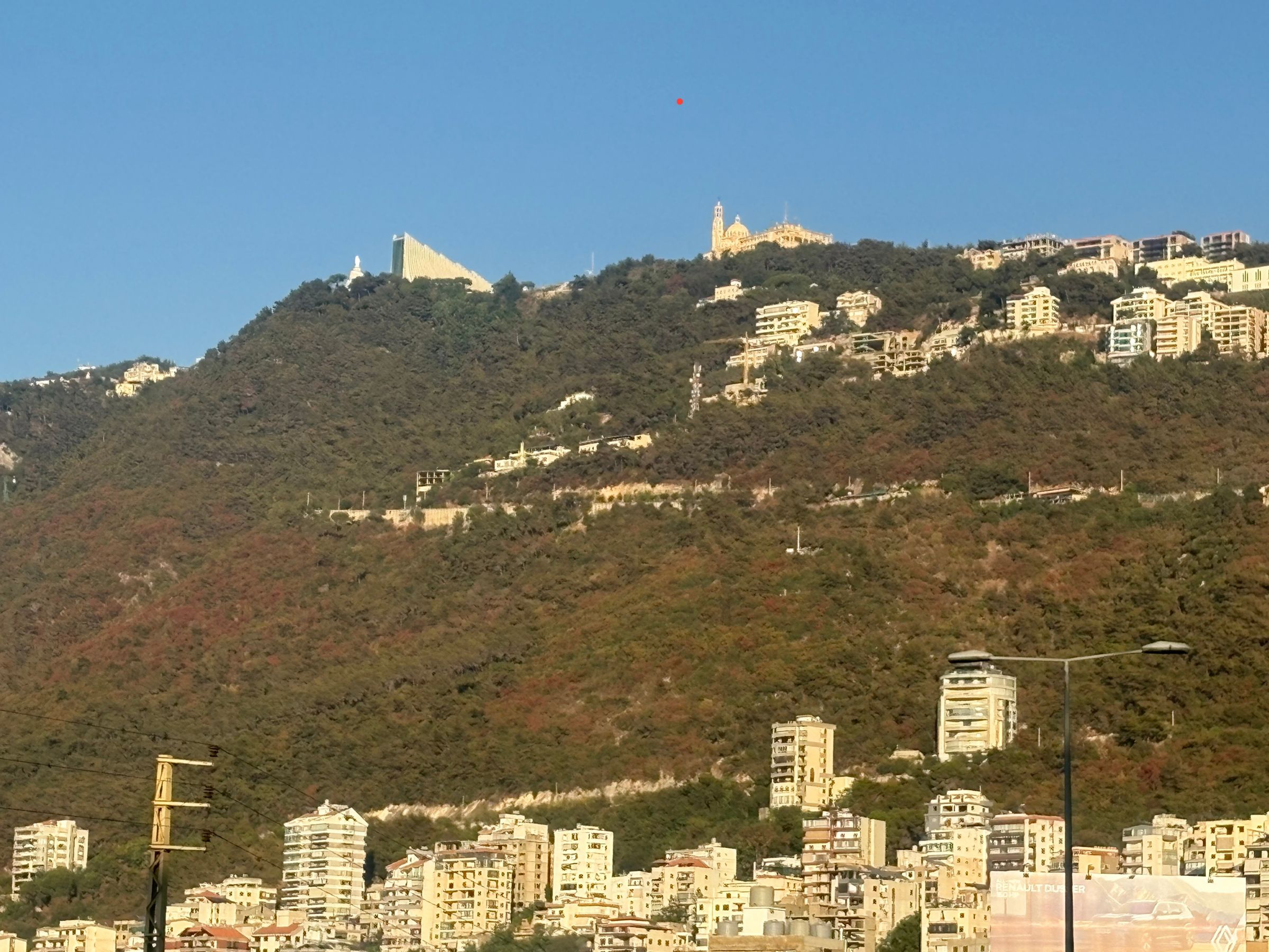 Between drought and invasive pests, Lebanon’s forests are in turmoil ...