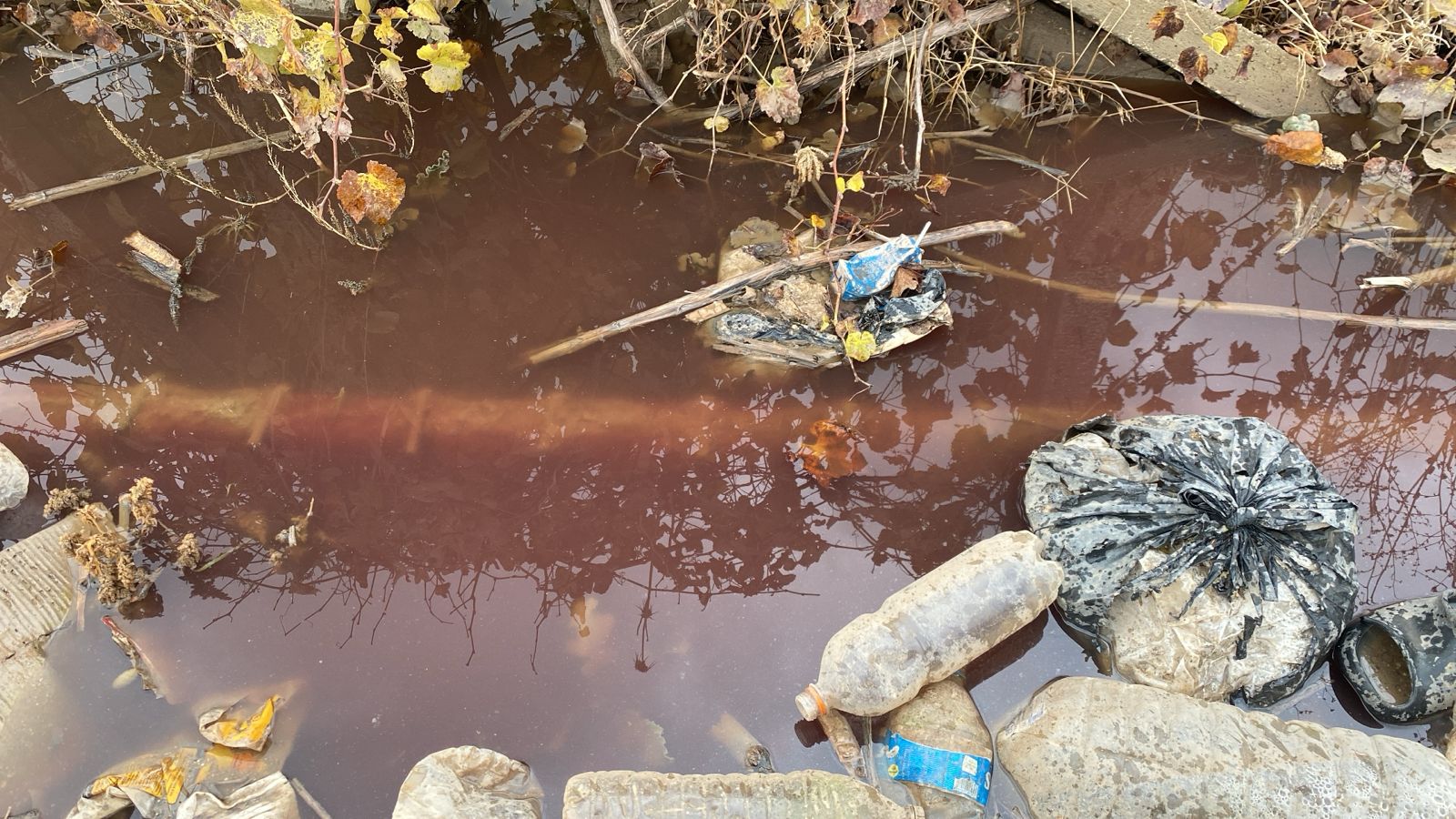 Part of Litani River turns red in Bednayel due to blood from local ...