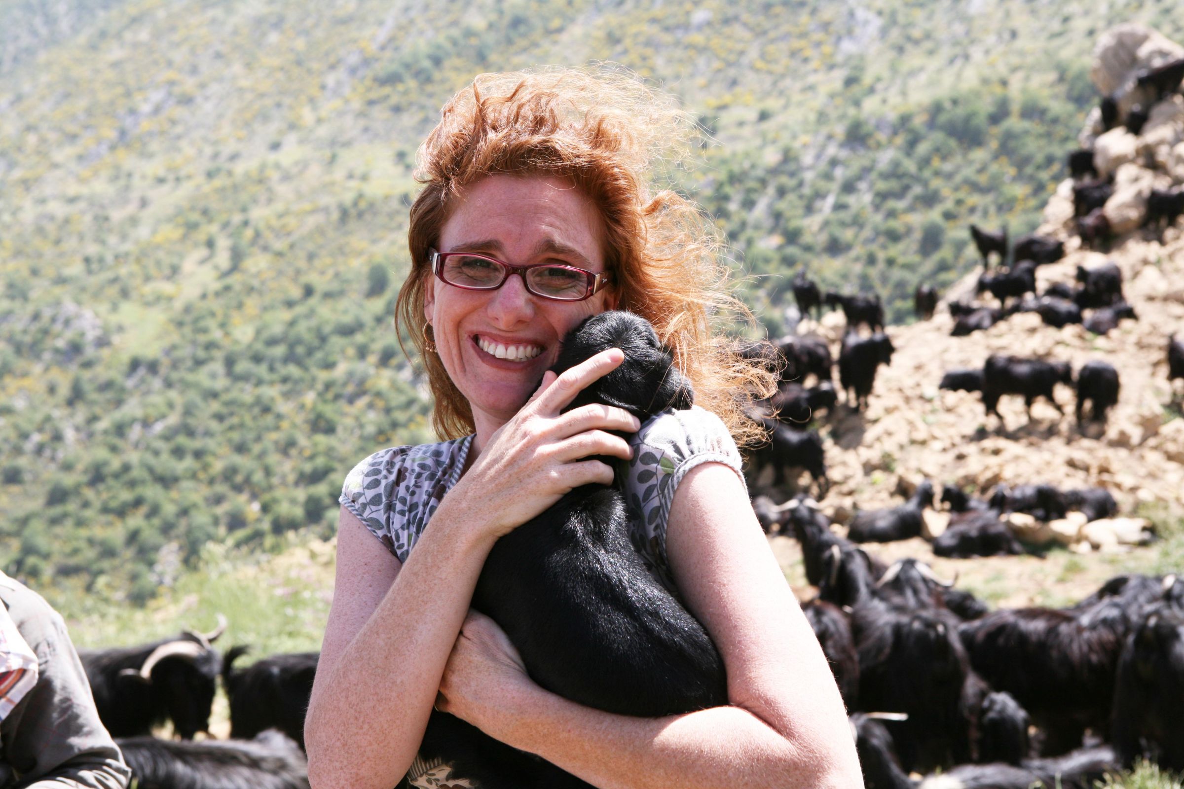 Barbara Abdeni Massaad’s love letter to Lebanon’s cheeses and their ...