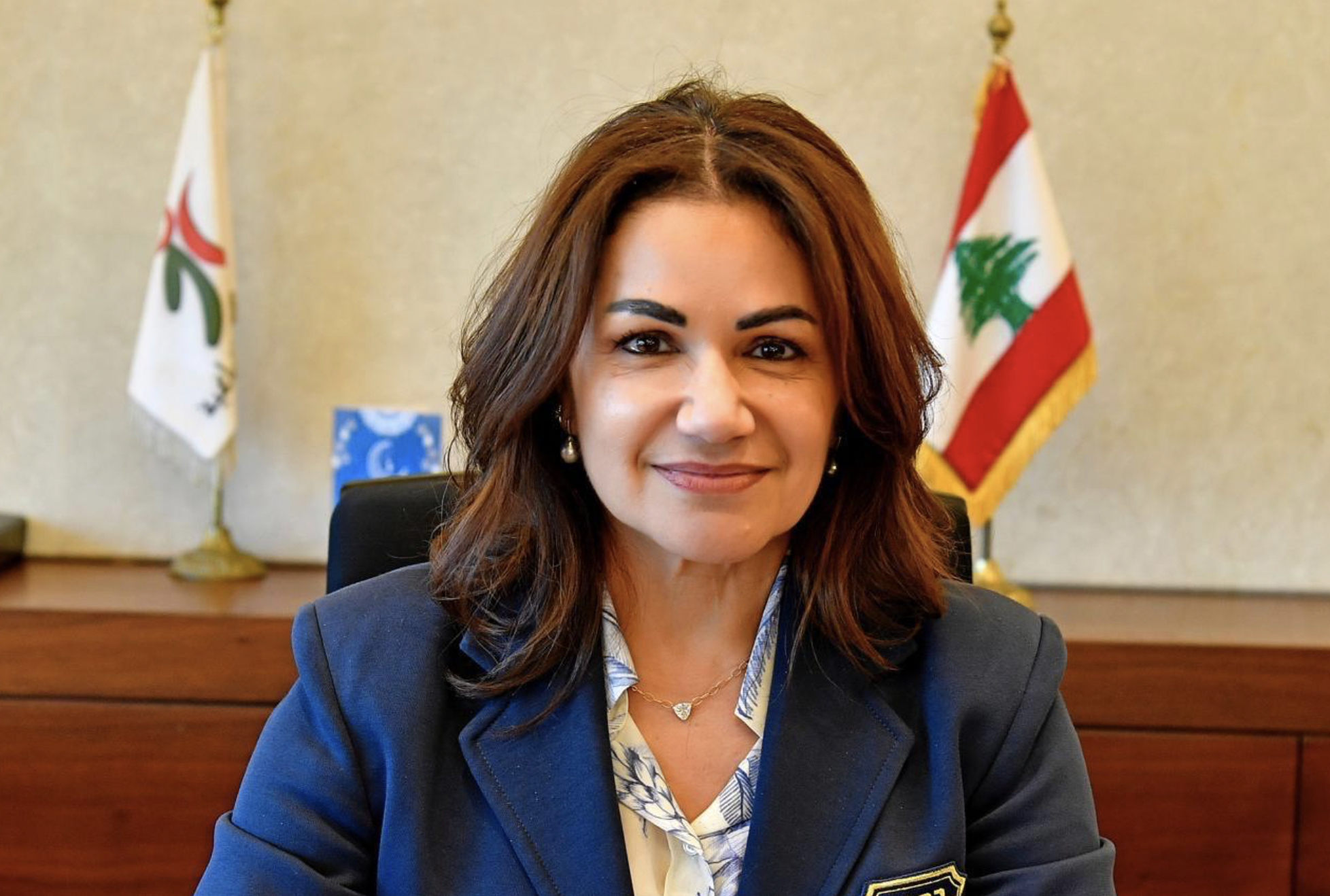 Haneen Sayed presents her ministry’s 2025 report and touts a ‘daily ...