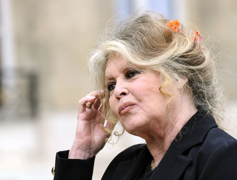 Brigitte Bardot dies at 91 - L'Orient Today