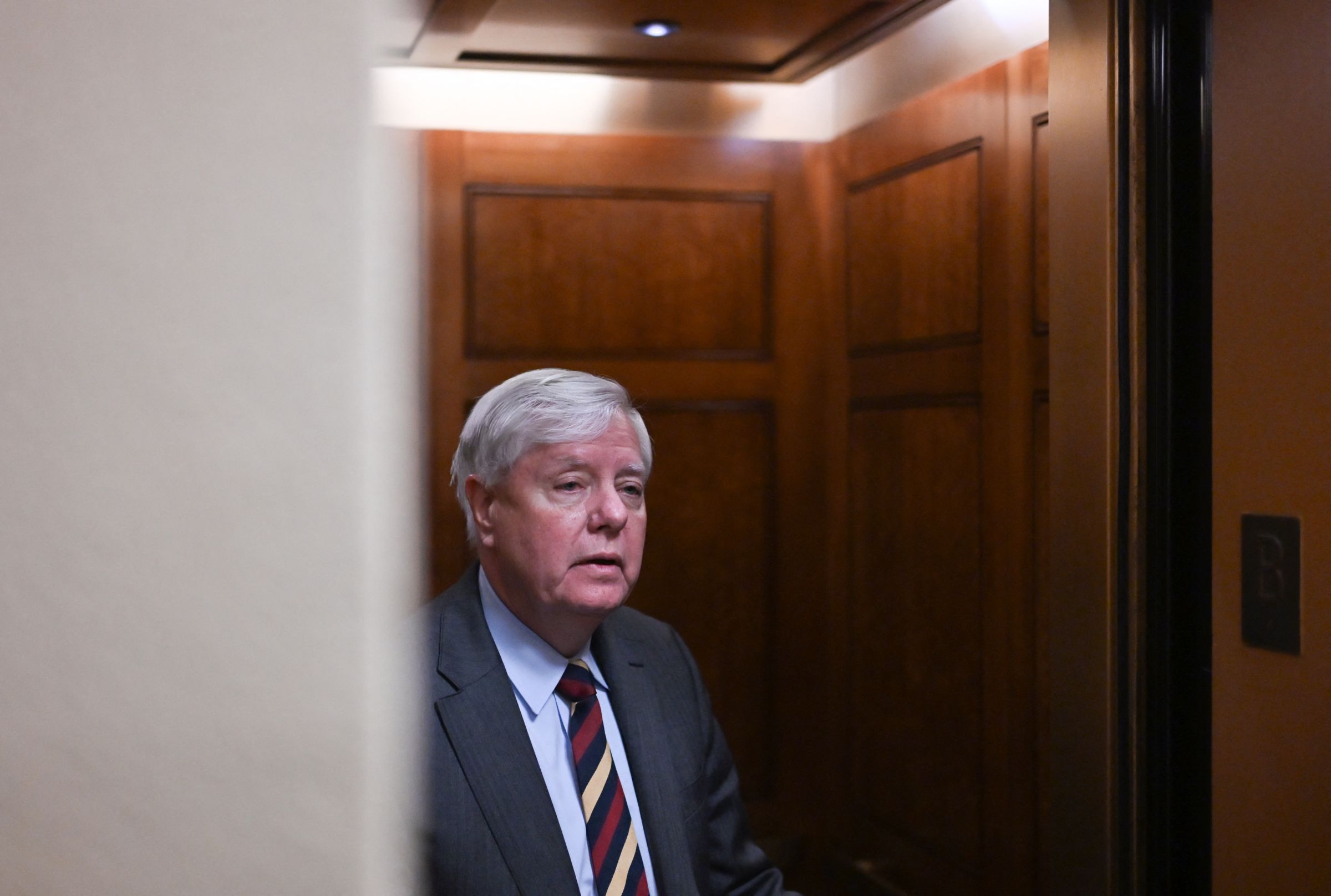 Haykal's firm stance on Hezbollah stated to US Senator Graham hailed by ...